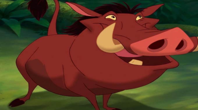 50 Things About Pumbaa That You Didn't Know - Friction Info