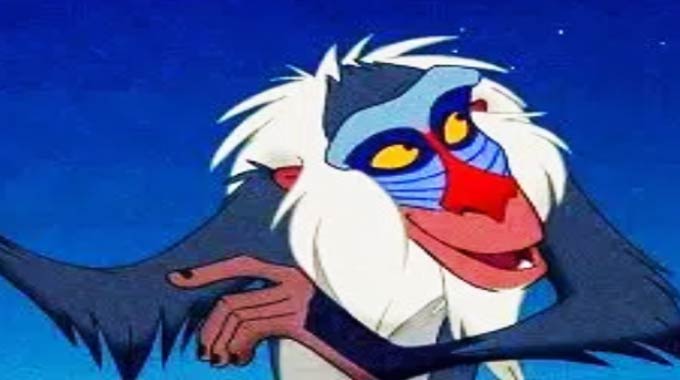 50 Things About Rafiki That You Didn't Know - Friction Info