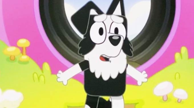 50 Things That You Didn't Know About Mackenzie - Friction Info