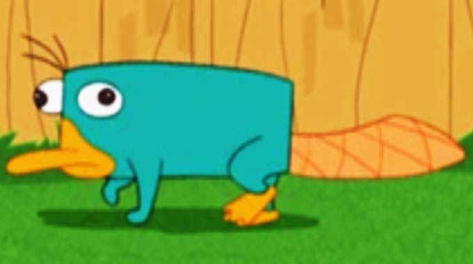 50 Things That You Didn't Know About Perry the Platypus - Friction Info