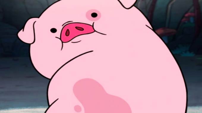 50 Things That You Didn't Know About Waddles - Friction Info